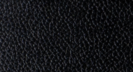 Hardcase 3 x 4 - Holly Cases
