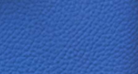 Hardcase 1 x 2 - Holly Cases